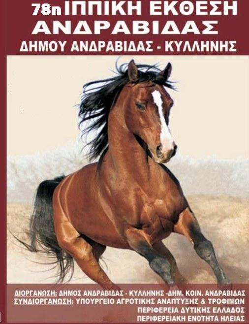 Ενα μοναδικο θέαμα με αλογα στην Ανδραβιδα της Ηλειας - Ηλεία Οικονομία