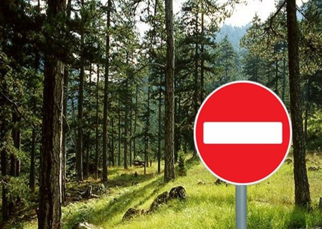 Ξεκίνησε η απαγόρευση εισόδου στα δάση-Βαριά πρόστιμα για παραβάτες ...