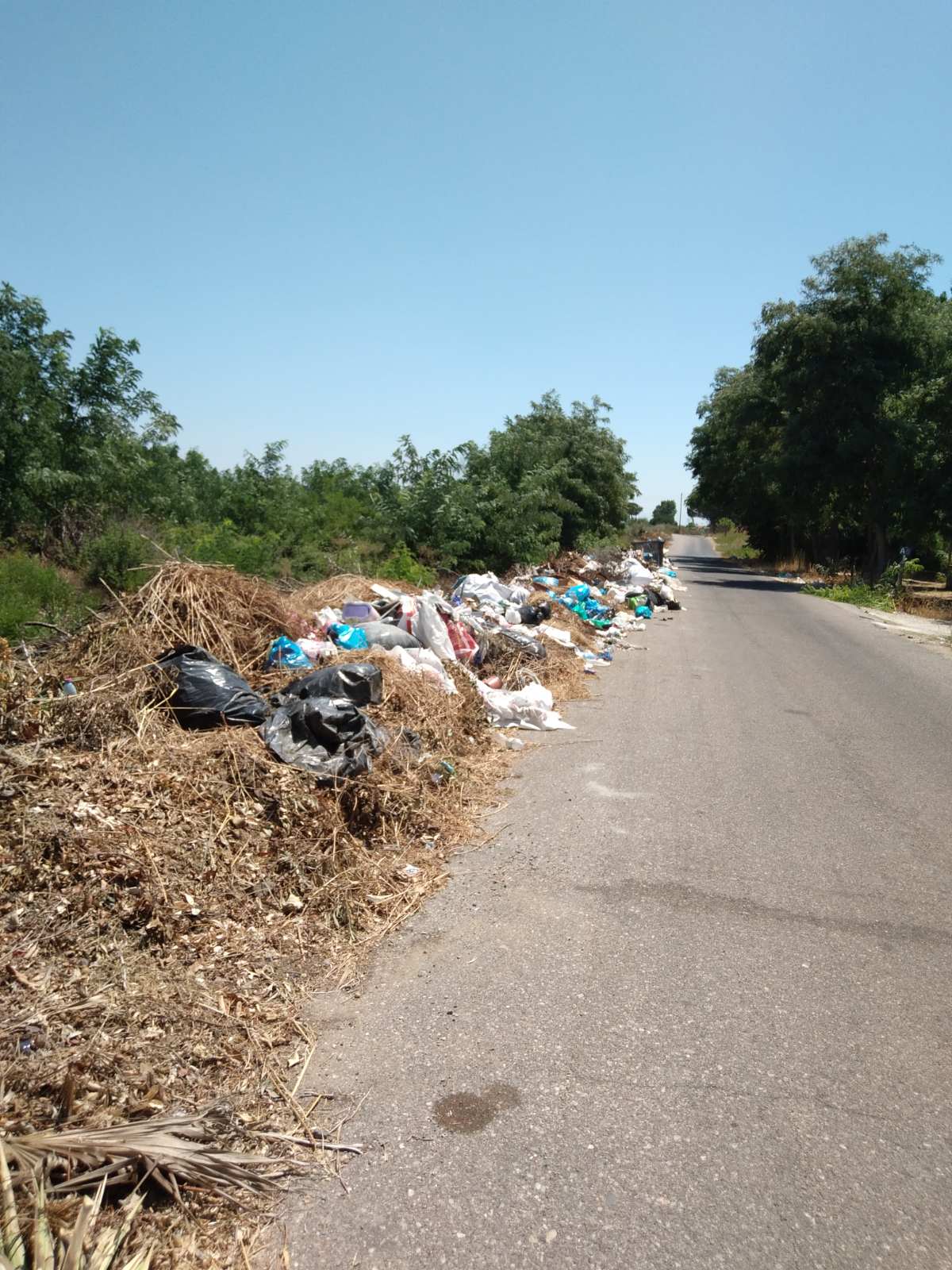 Στάθης Καννής: Εφιάλτης σκουπιδιών στο παραλιακό μέτωπο του δήμου ...