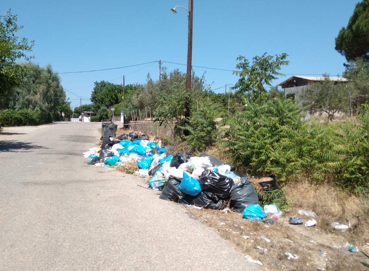 Στάθης Καννής: Εφιάλτης σκουπιδιών στο παραλιακό μέτωπο του δήμου ...